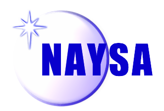 NAYSA Financials